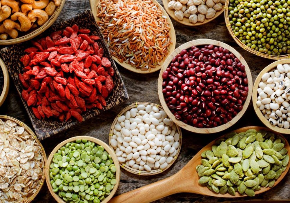 The Ultimate Guide to Plant-Based Protein Powder