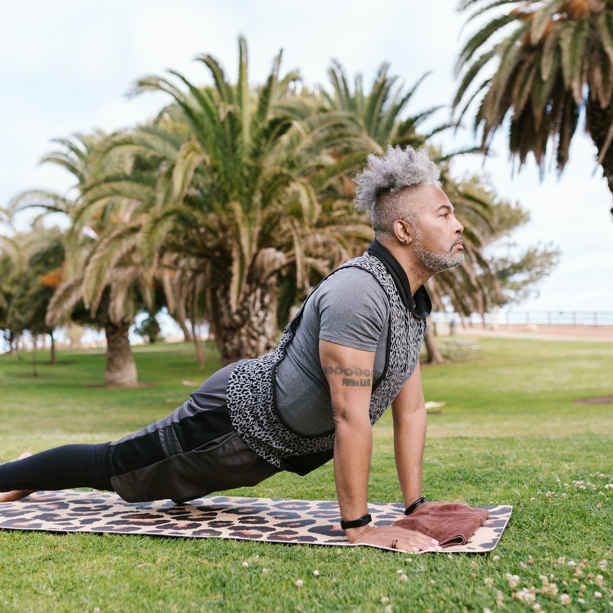 Why Plant-Based Protein Powders are Best for Active Adults